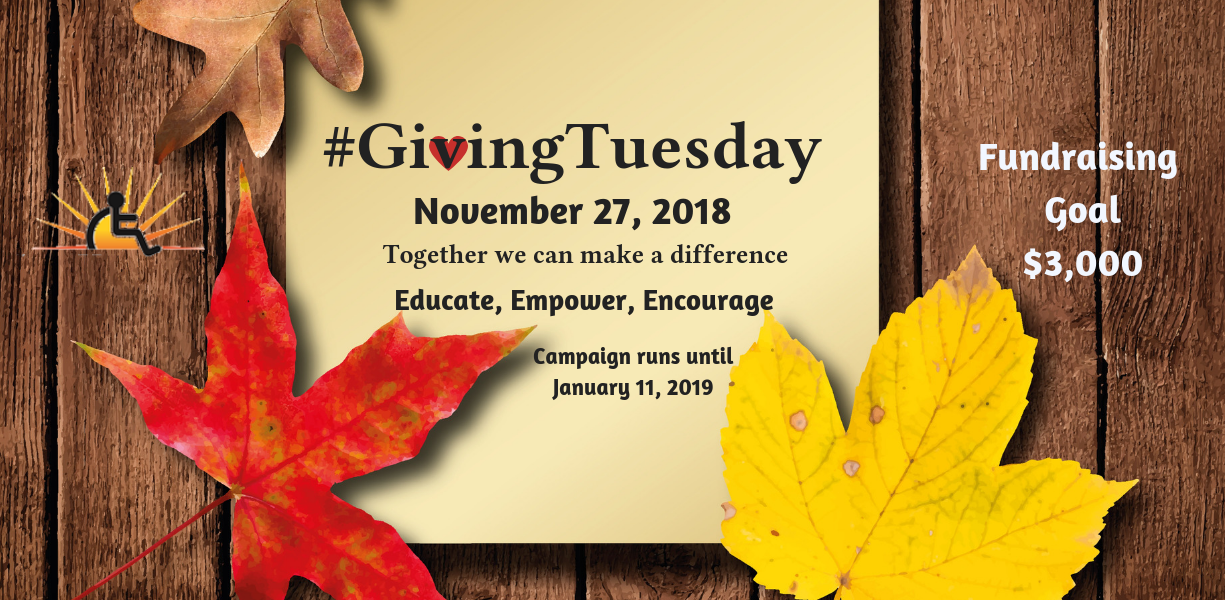 Giving Tuesday website banner (2) – New Horizons Disability Empowerment ...
